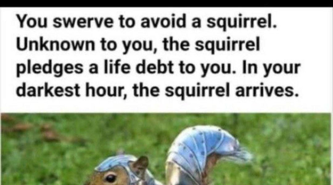 MEME DROP #337: You Swerve To Avoid A Squirrel. Unknown To You, The ...