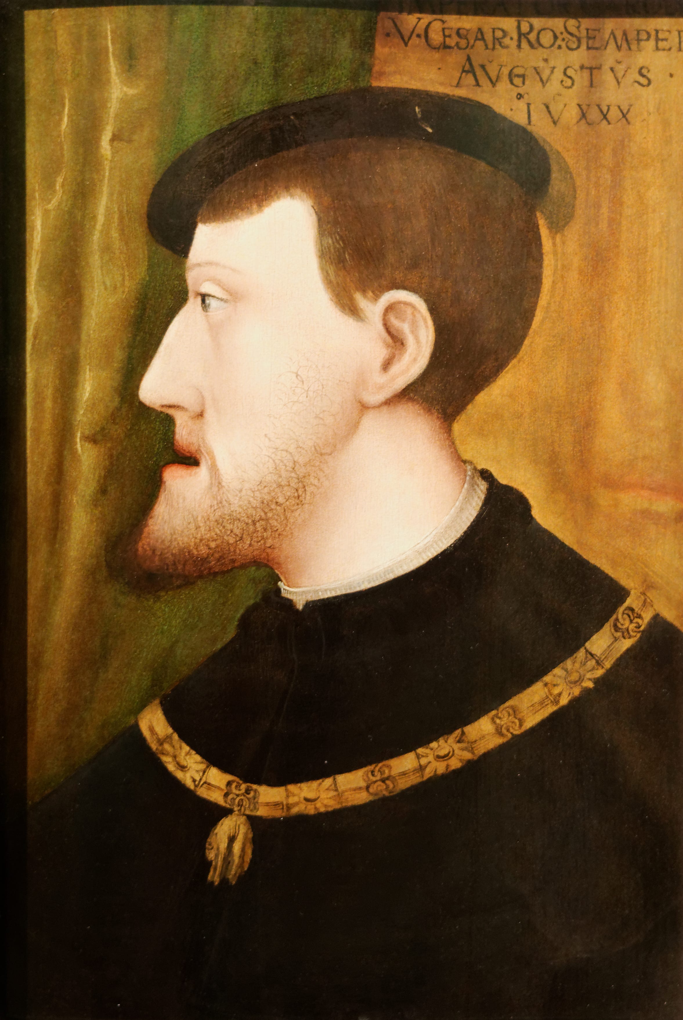 Habsburg Jaw: Visual History