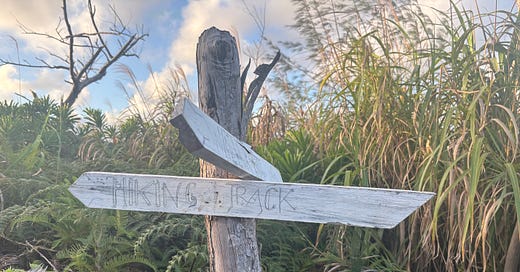 Slowpoke | Carson Ellis | Substack