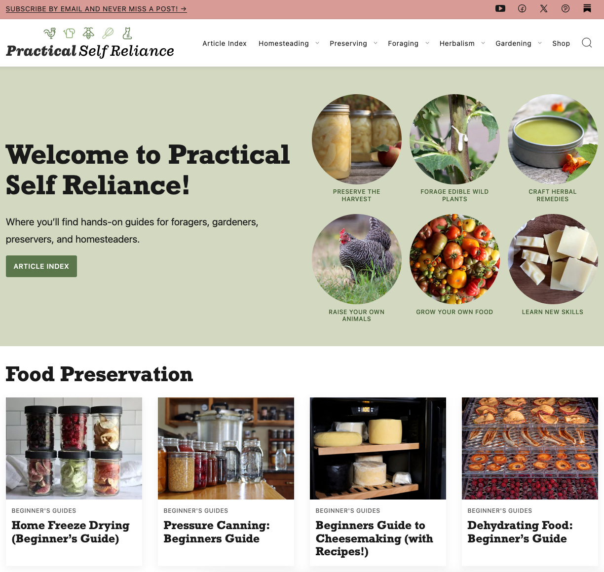 New for Spring ~ Creative Canning - by Ashley Adamant