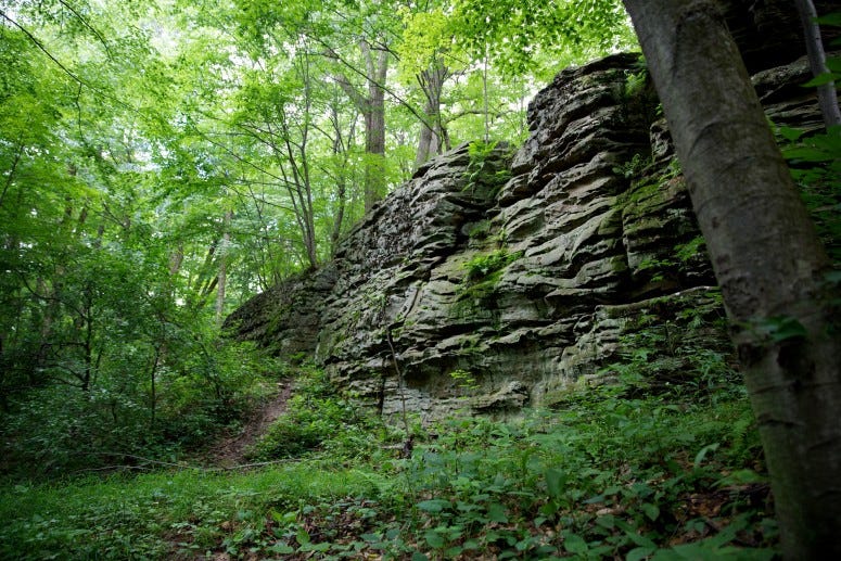 A backwoods education - by Theo Lipsky - Garrison Notes