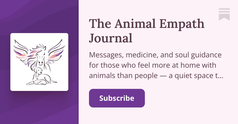 A members-only power nap meditation for stressful days