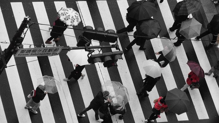 Zebra Crossings in India - THE OPINION