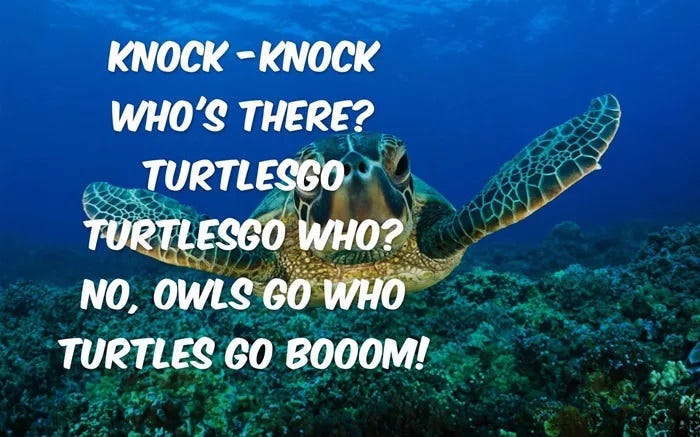 134+ Ocean Knock Knock Jokes to Make You Wave with Laughter