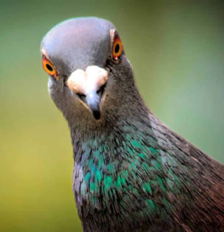 I have ADHD and here’s why I don’t reply to your texts