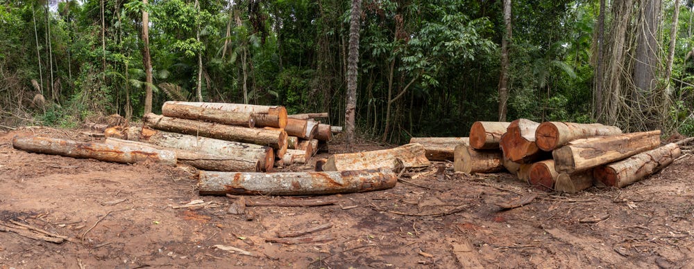 Radicalising the (Neo)Liberalisation of Nature
