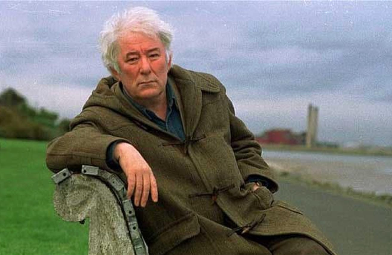 Seamus Heaney and Me - adrian mckinty’s Substack