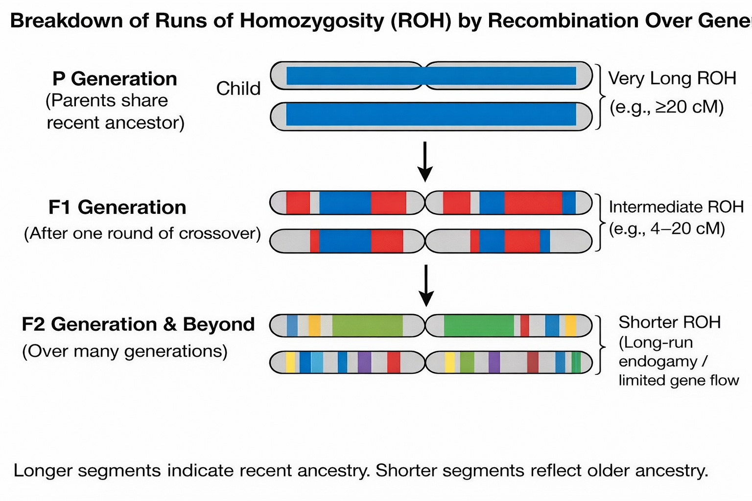 Eugenic clannishness, dysgenic inbreeding?