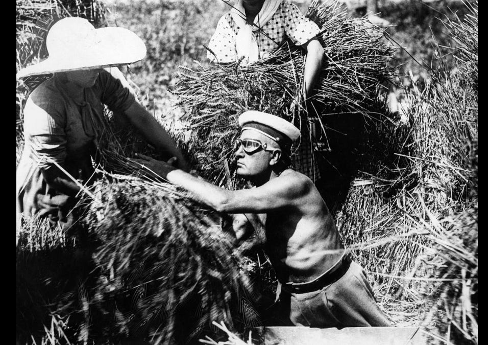 hypermasculinity theory