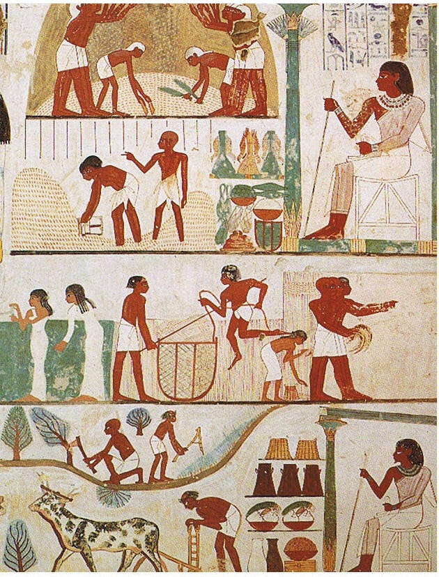 The Agricultural Mistake: How Farming Reshaped Civilization and Not ...