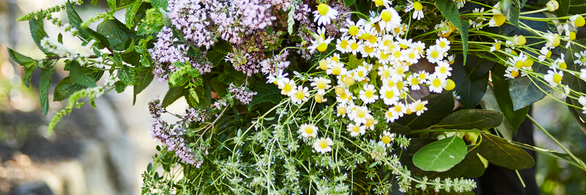 peppermint candy flowers