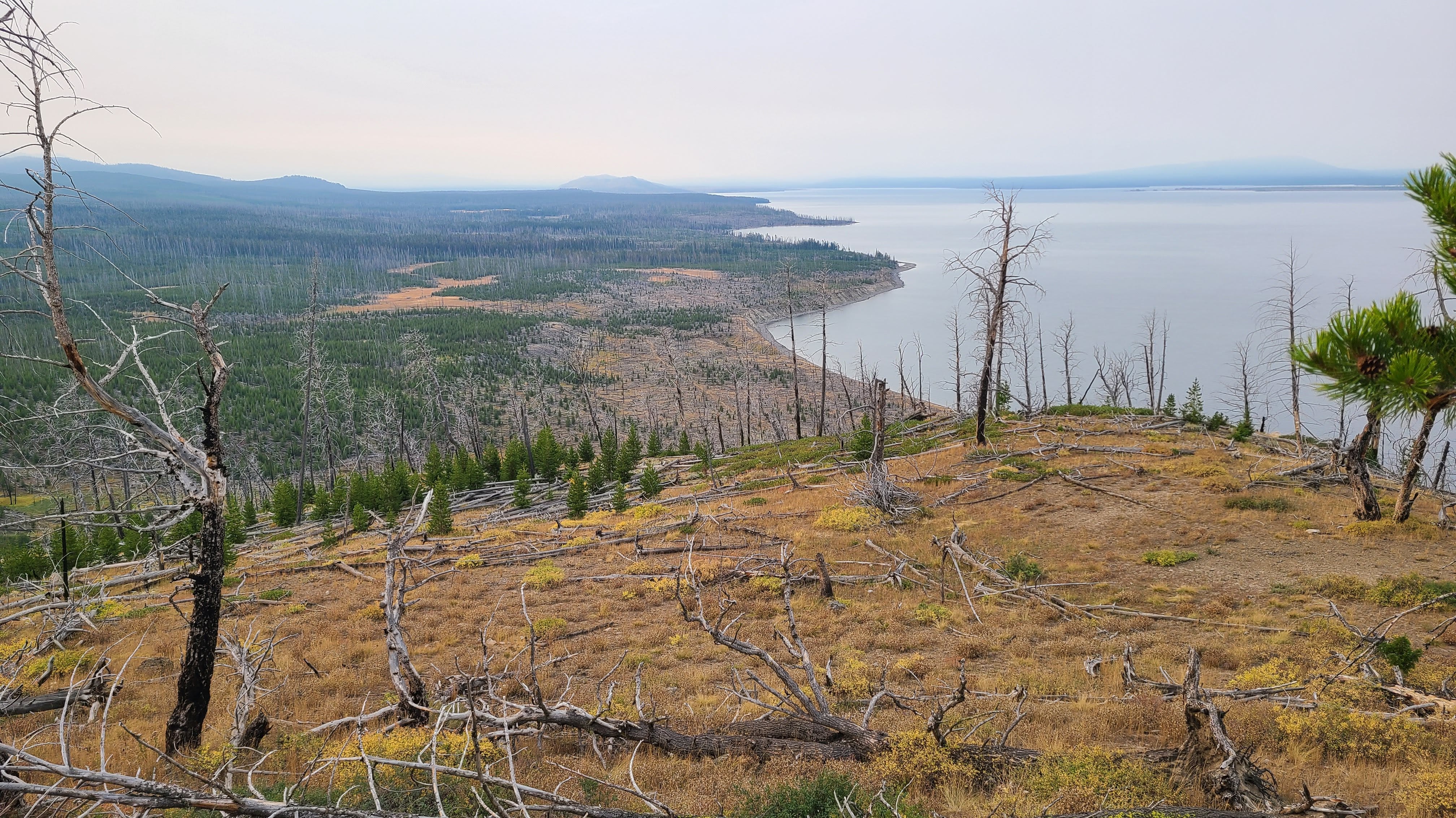 The Thorofare -- Yellowstone National Park, September 2024 (afterwards)