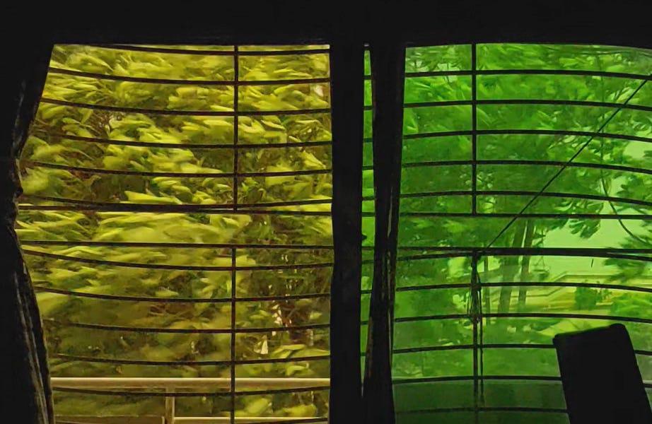 Today! - Sofia kashif