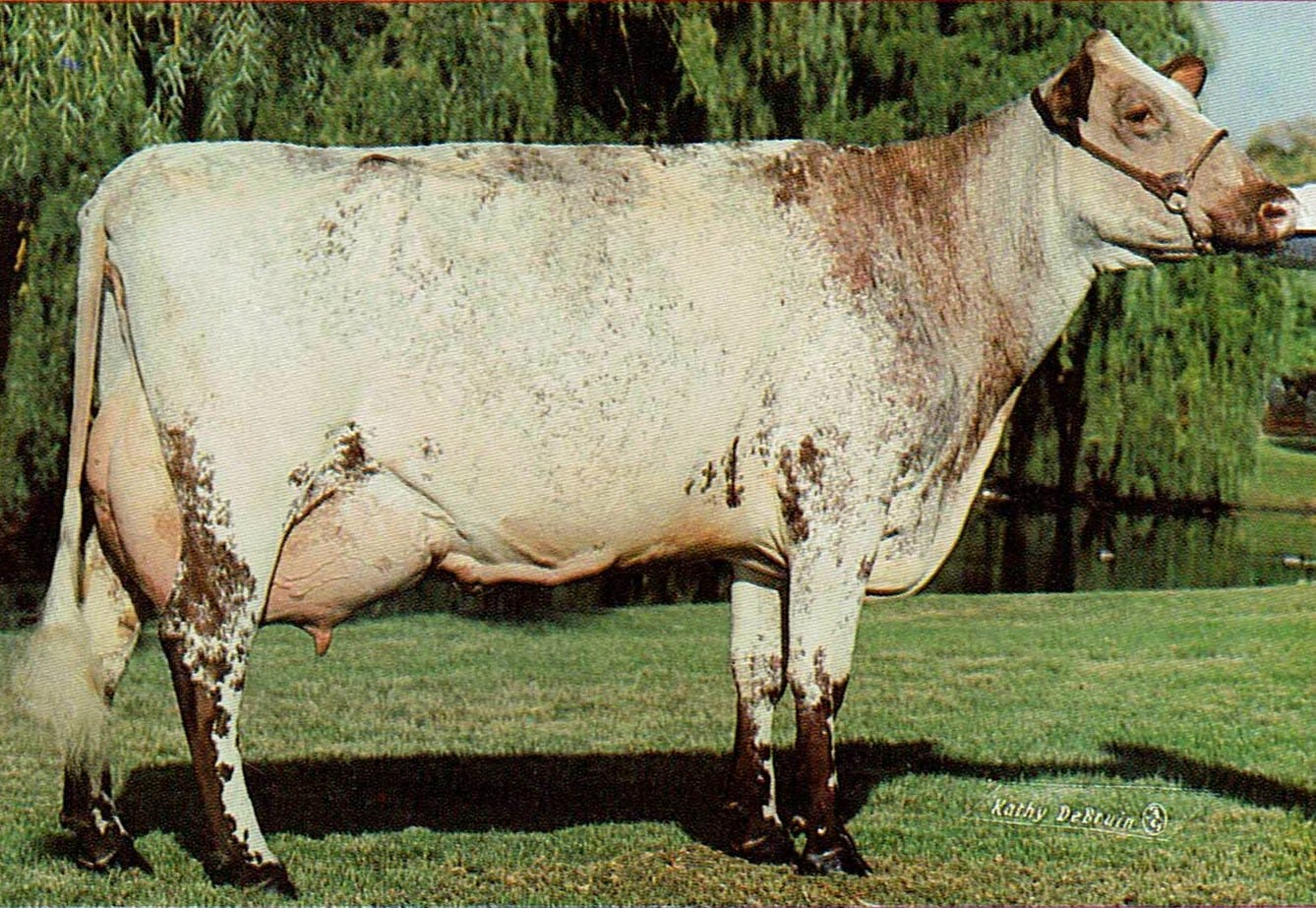 What about line breeding? - by Bestyet AI Sires