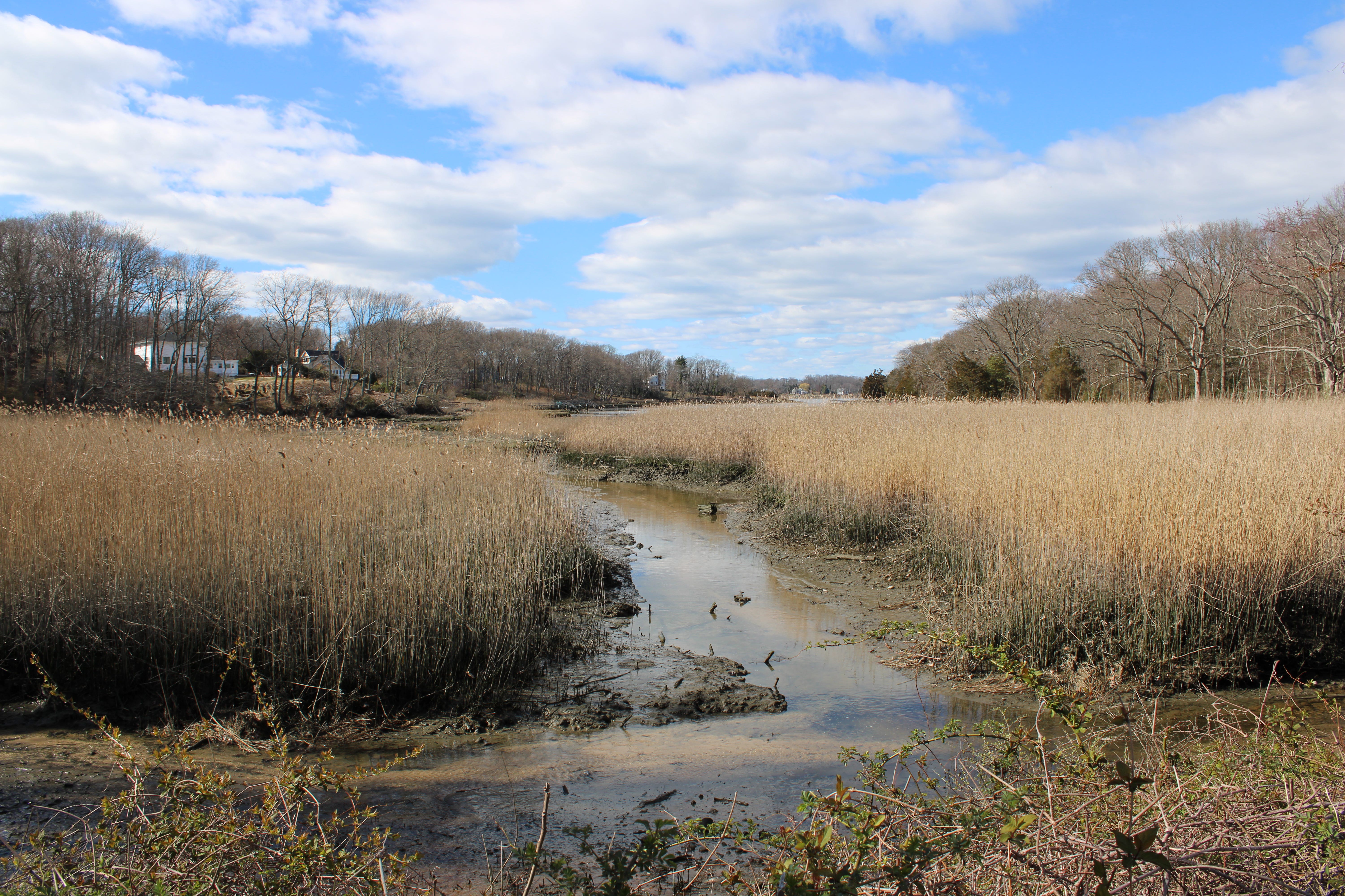 Rediscovering Setauket's Indigenous Legacy: The History and Challenges ...