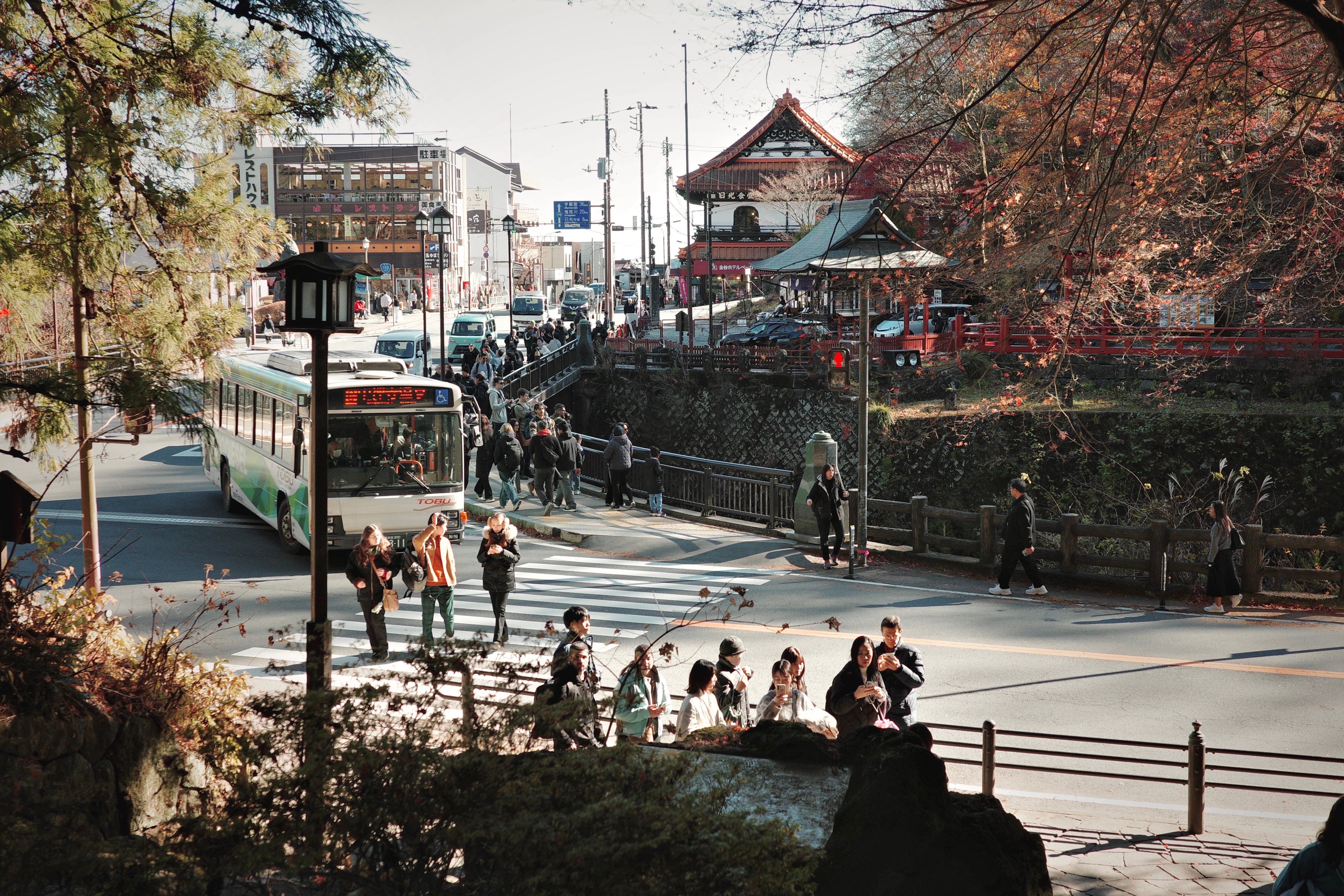 New Year 2026 In Japan Bruno And Taros Newsletter