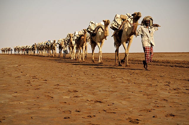 The Ancient Salt Trade of West Africa - by Dishant Shah