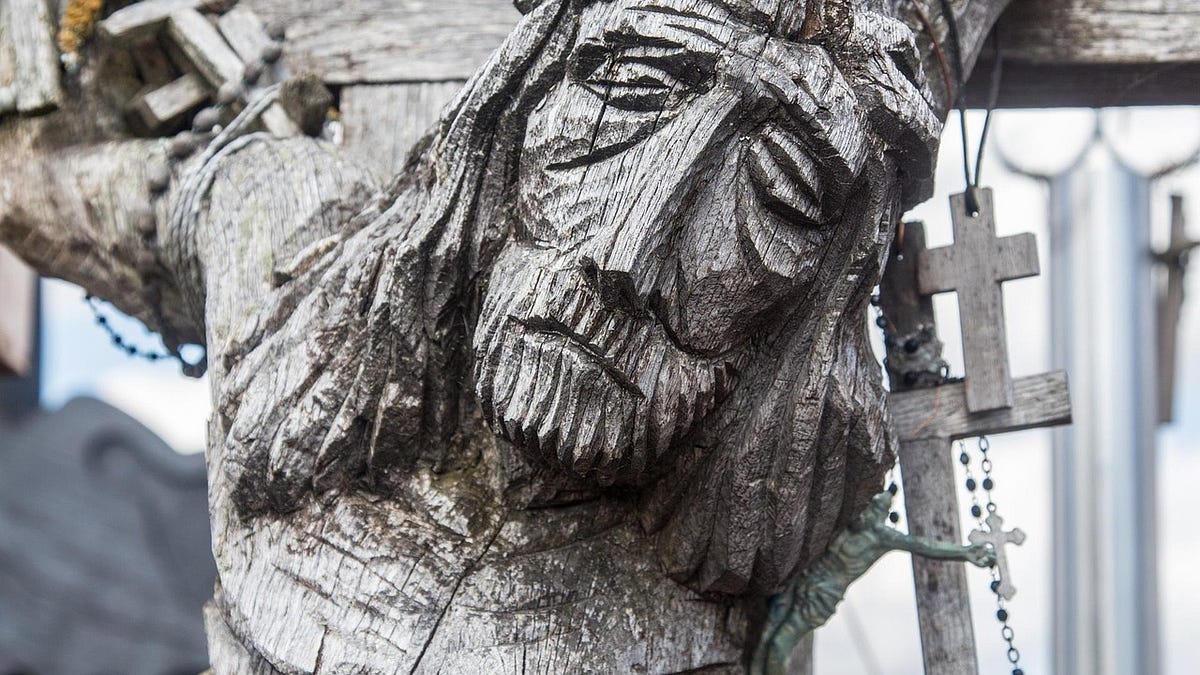 The Testimony of the Crucified - by Fr. Joshua Whitfield