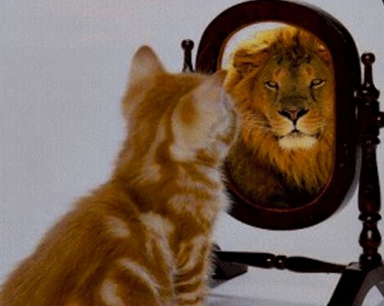 What Story Are You Telling? Paying Attention to What’s Being Said ...