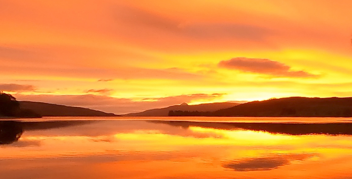 Call-me-Sam | Substack