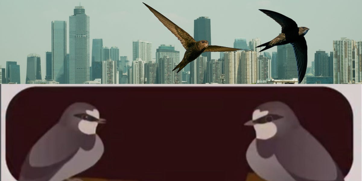 Mandatory swift boxes under consideration?