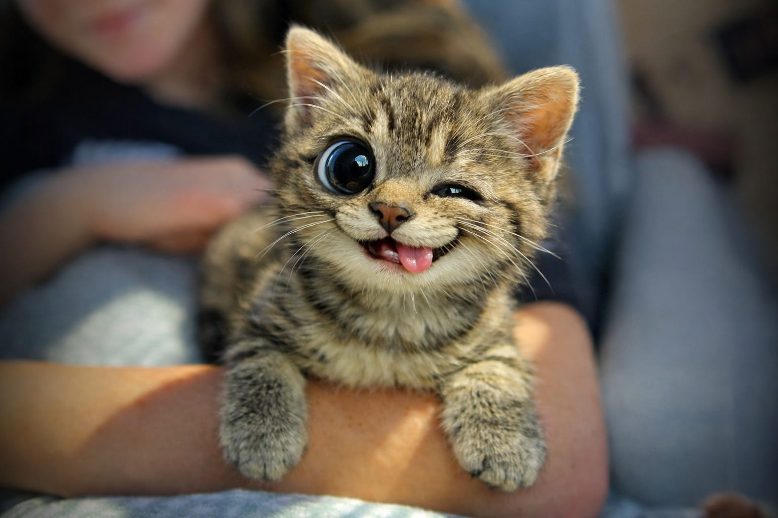 What's Behind the Ugly Kitten? - by Eric Herron