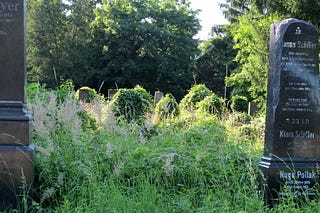 The Soering Case | Andrew Hammel | Substack