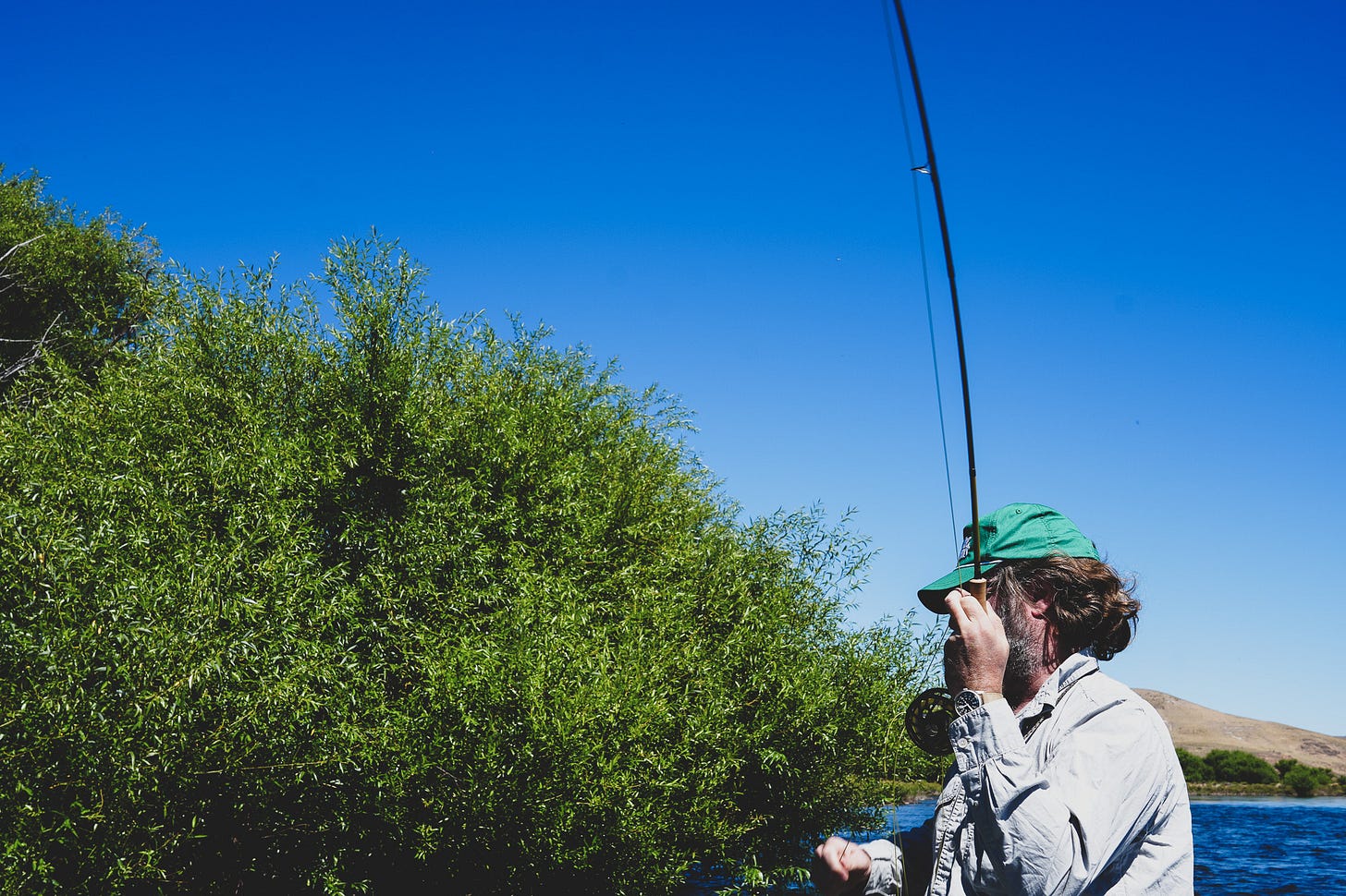 Patagonia on a Summer's Day - by Michael Williams