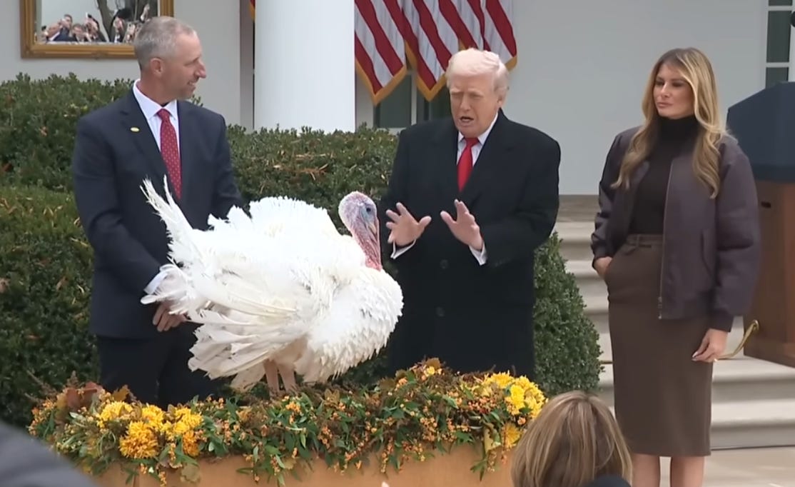 The turkeys Trump has pardoned, ranked - by Jerry Zremski