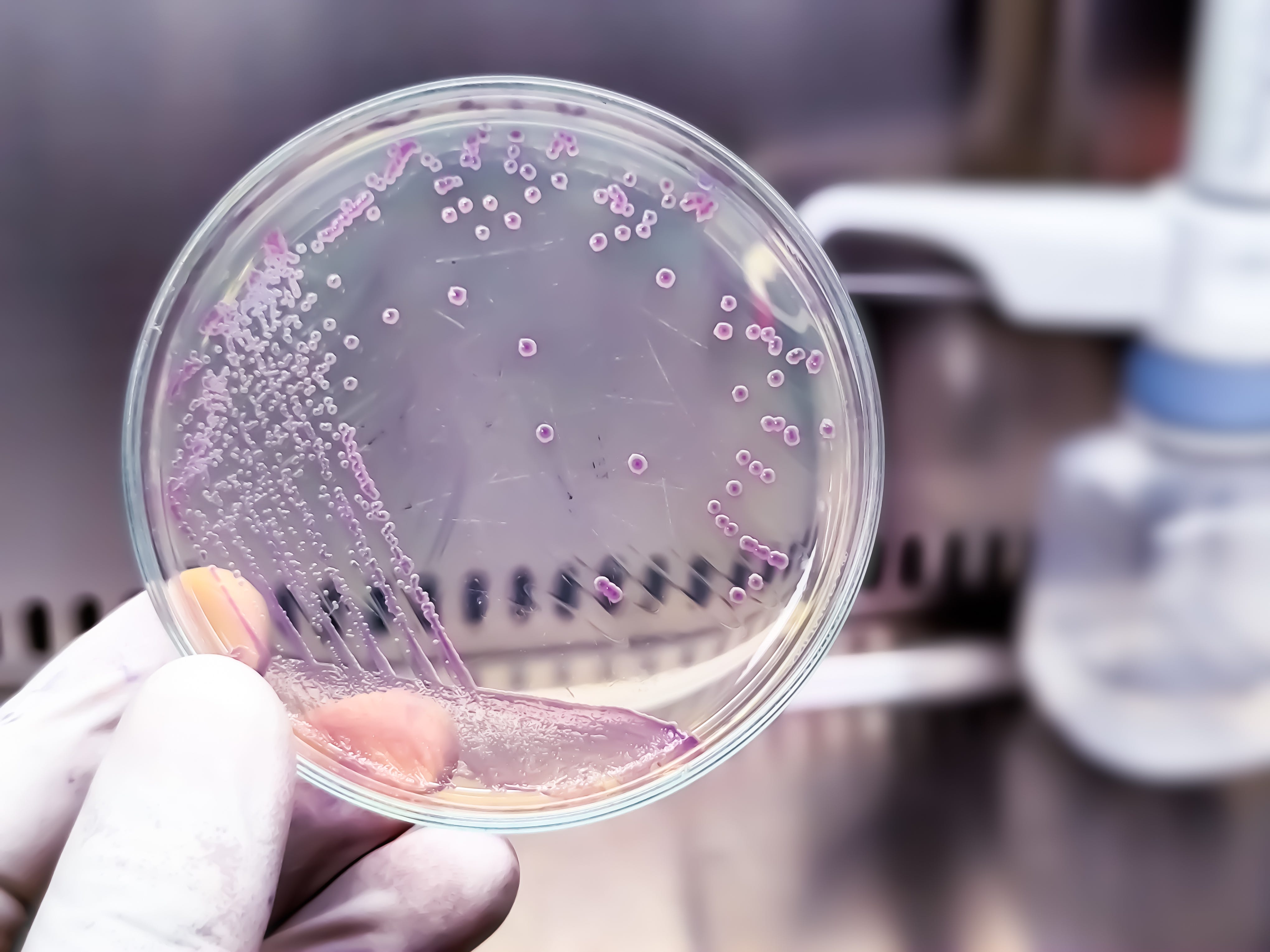 Science this week: AI has designed a virus that can replicate itself