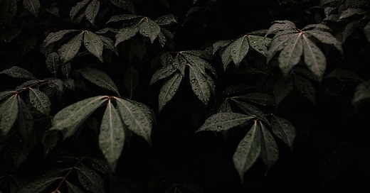 Wisdom Waves | Vex King | Substack