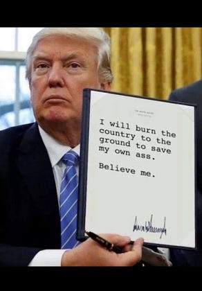 CA Productions/Carol Ann | Substack