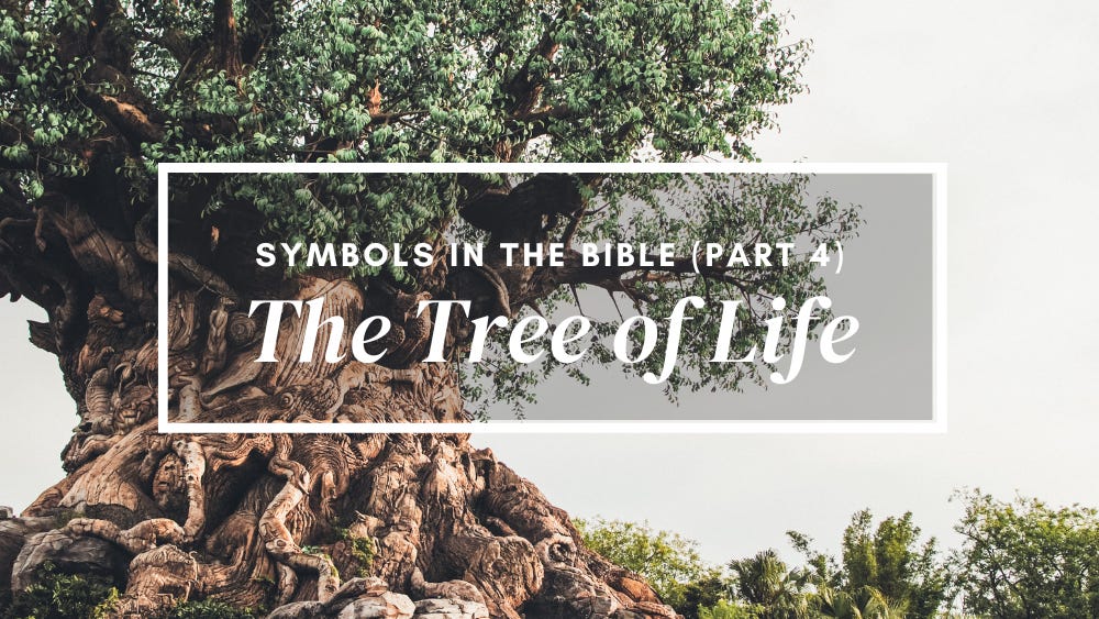The Tree of Life—Symbols in the Bible Course (Part 4)