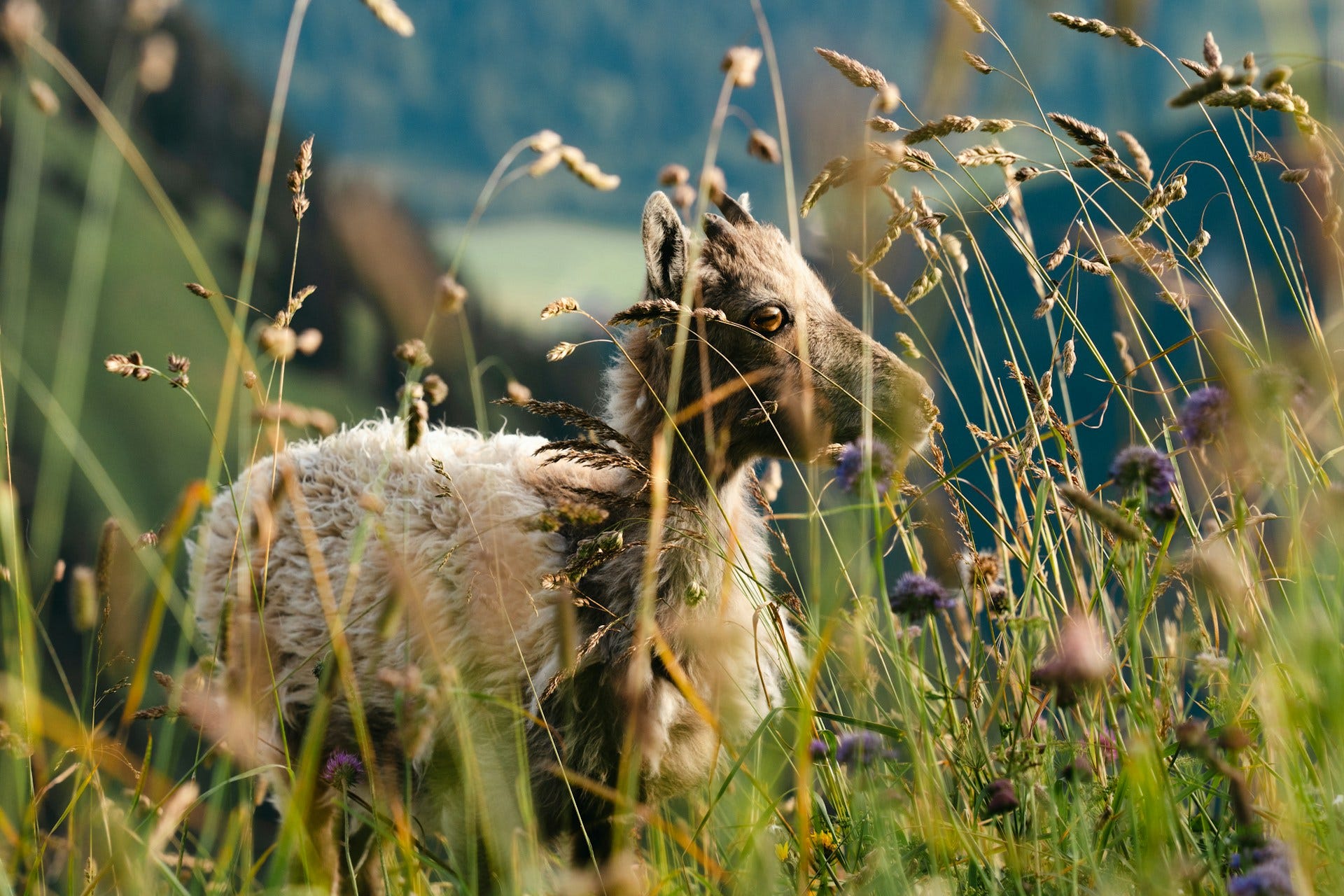 The Violence of Invisibility and the Radical Power of Being Seen