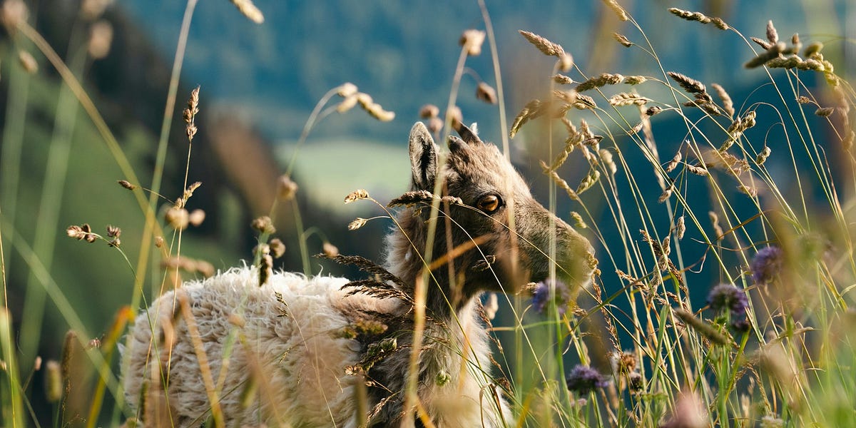 The Violence of Invisibility and the Radical Power of Being Seen