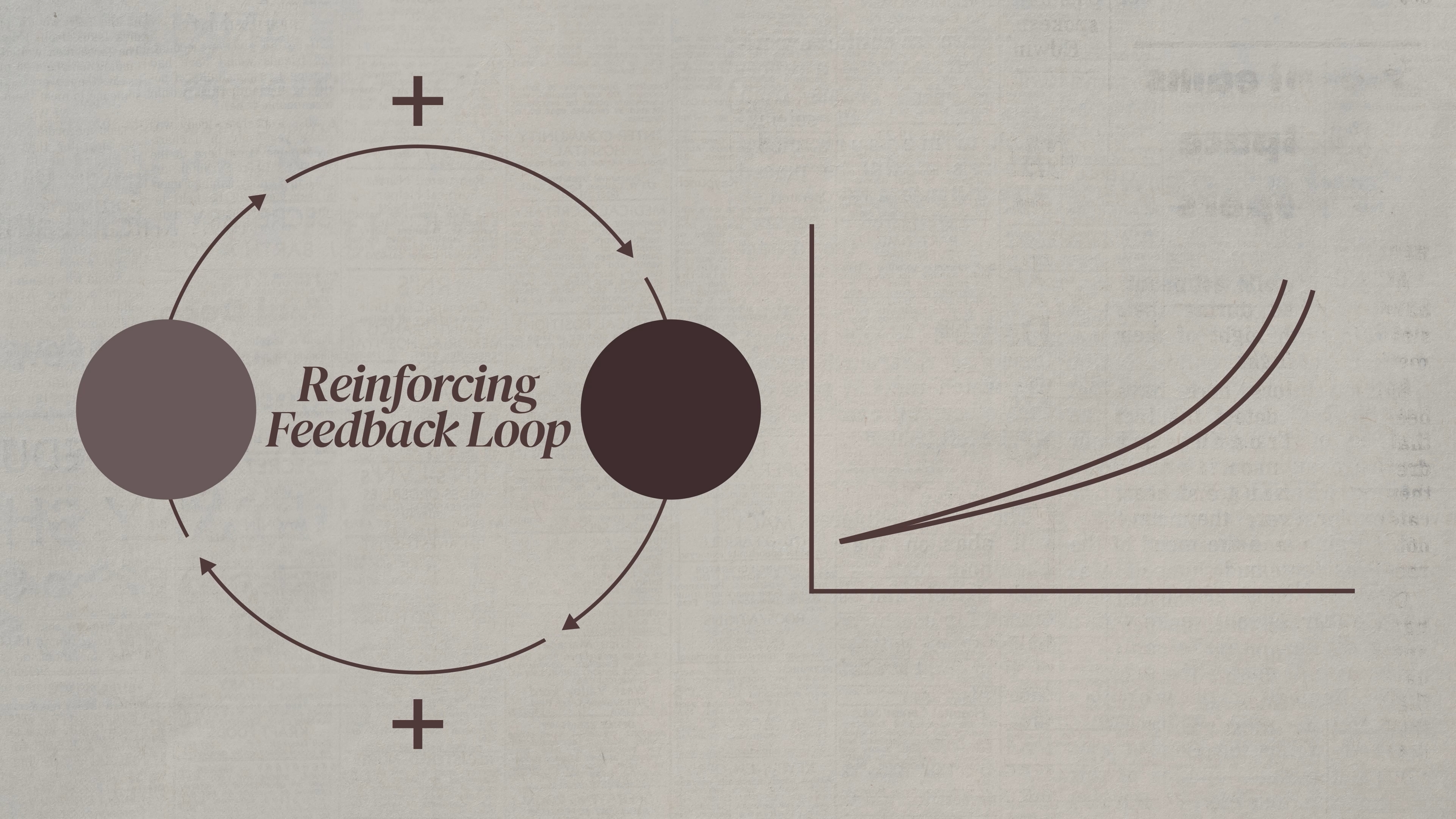 Feedback Loops - by Dante Borgese - Two Minute Wisdom
