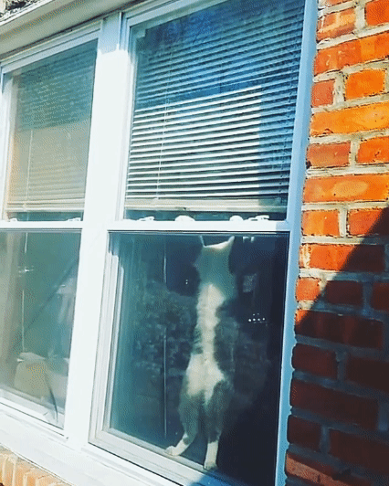 Exercise of the Month: Pull ups and Chin ups