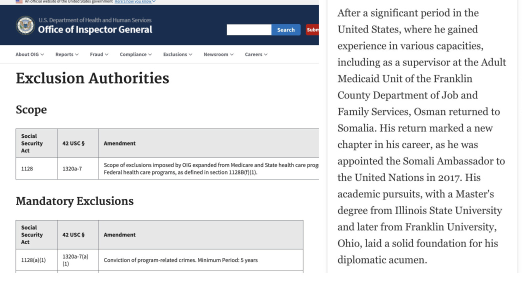 Libs of TikTok EXPOSES Somalia Ambassador’s Taxypayer-Funded Healthcare ...