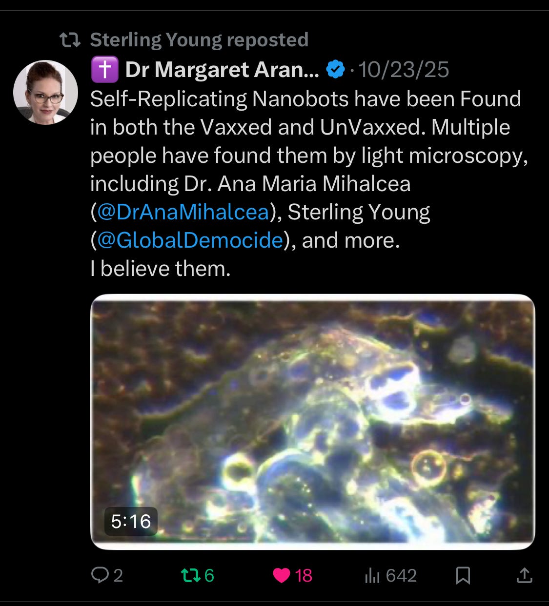 Nanobots As Told By Sterling Young By Dr Margaret Aranda