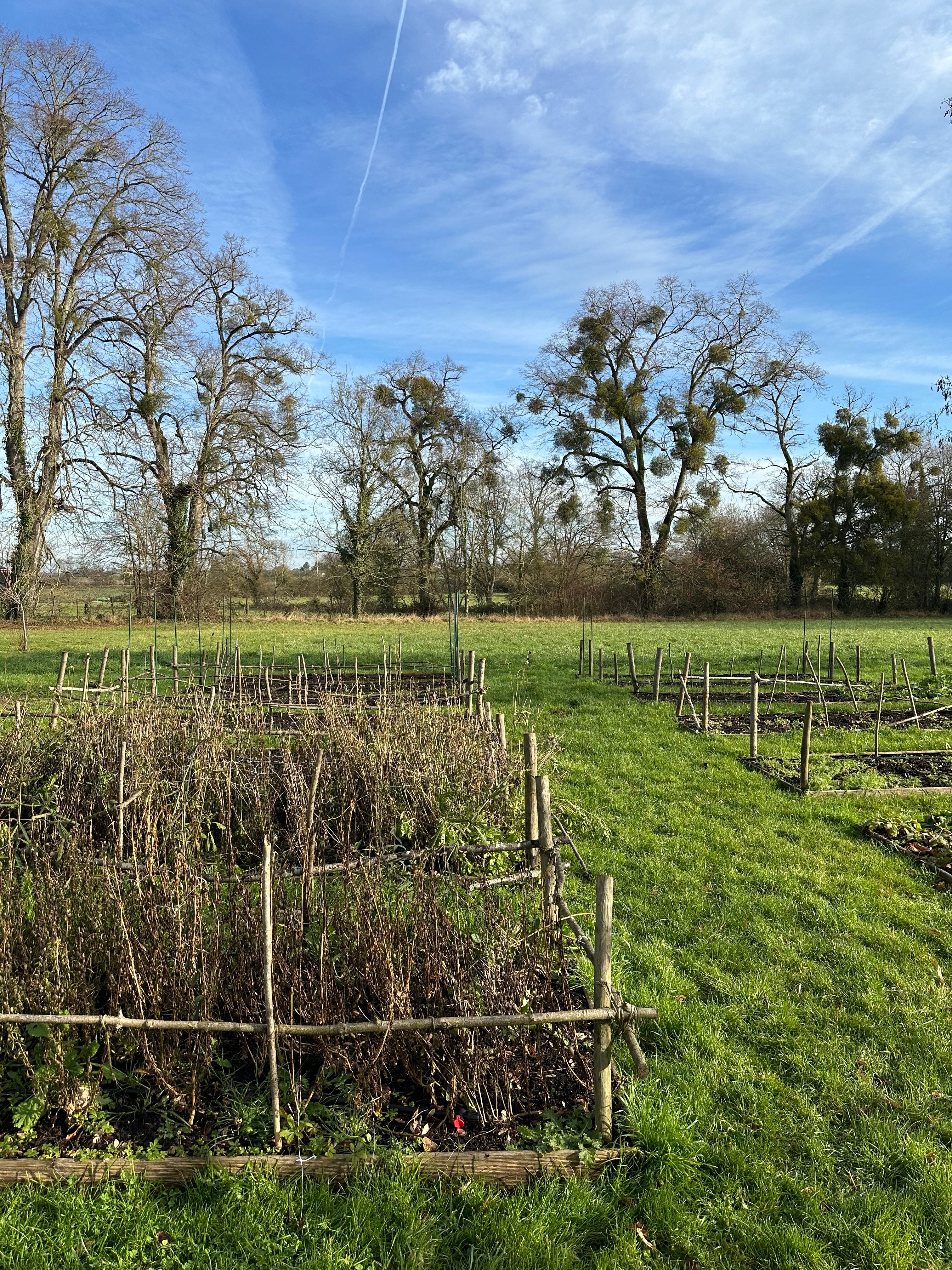 Very January - by Rebecca Jones - Between