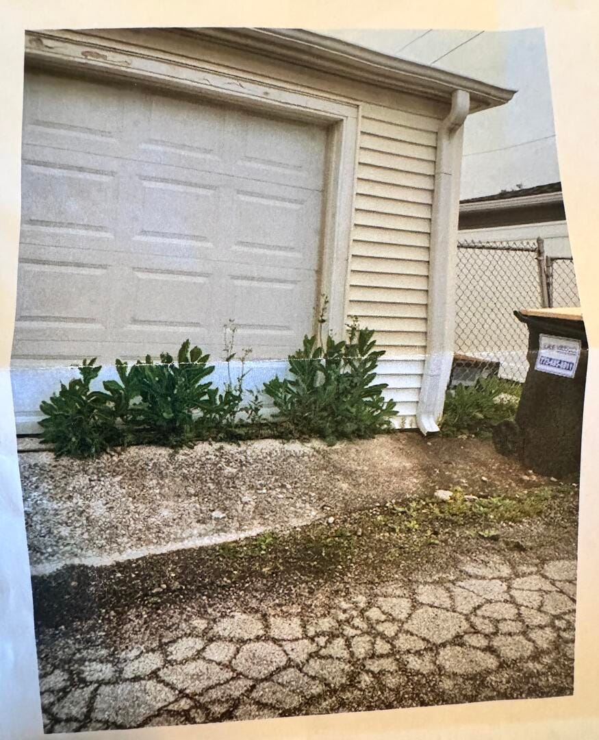 Code Enforcement Ramps Up Tickets For Weed Vegetation