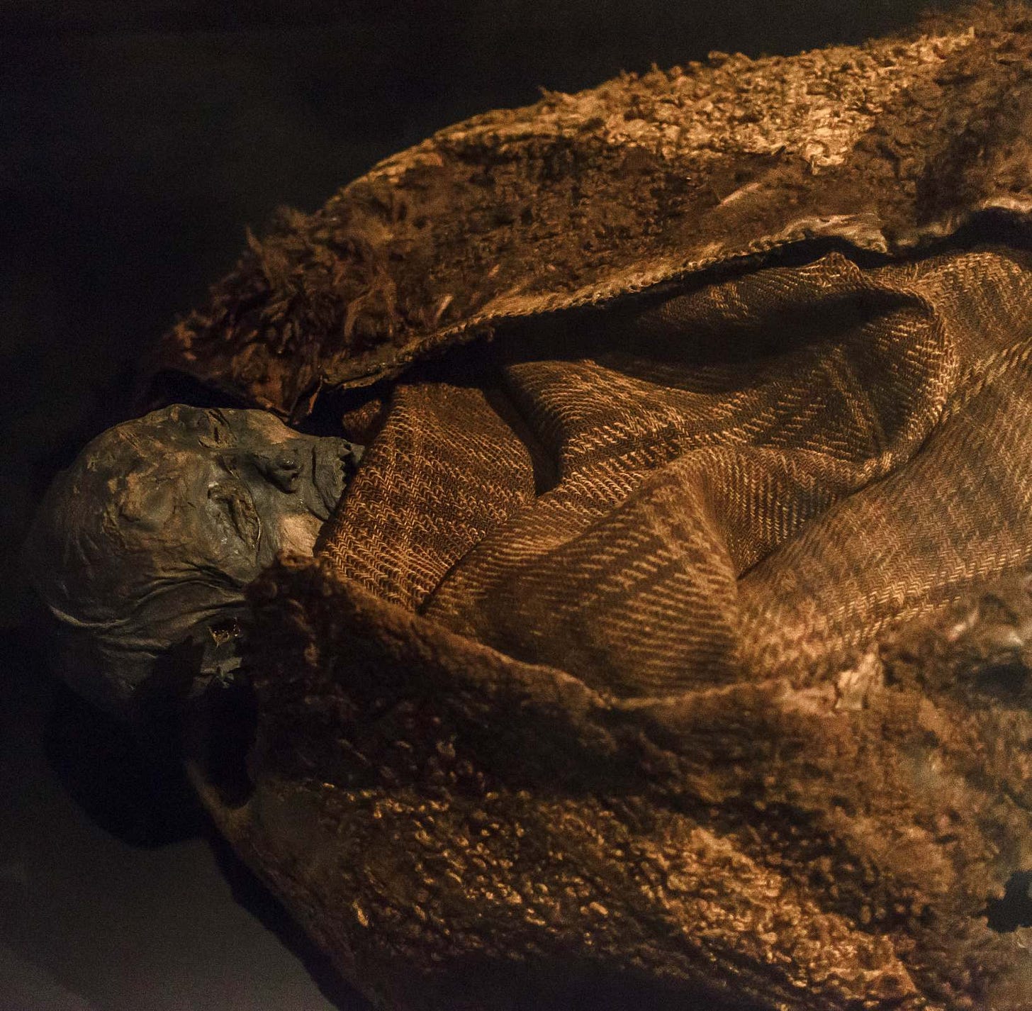 Denmark's "Best Dressed" Bog Body : Preserving the Hidden History of ...
