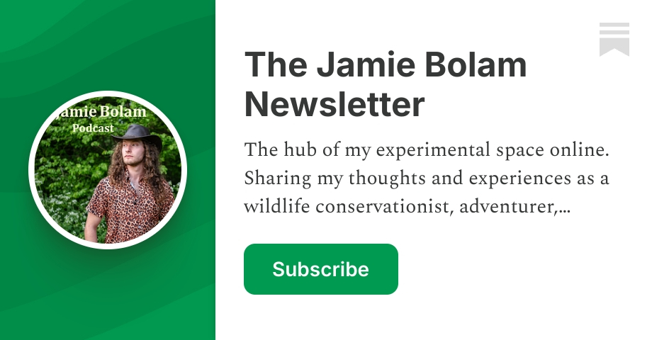 The Jamie Bolam Newsletter | Substack