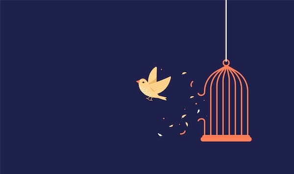 Why Liberation? - by The Peaceful Revolutionary