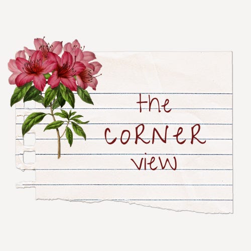 Life of the Party - by Jenn Gilmartin - The Corner View