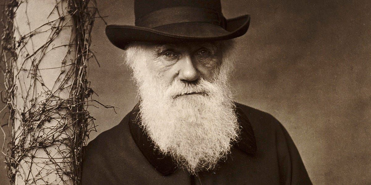 Beginnings: Evolution Mimics Genesis 1