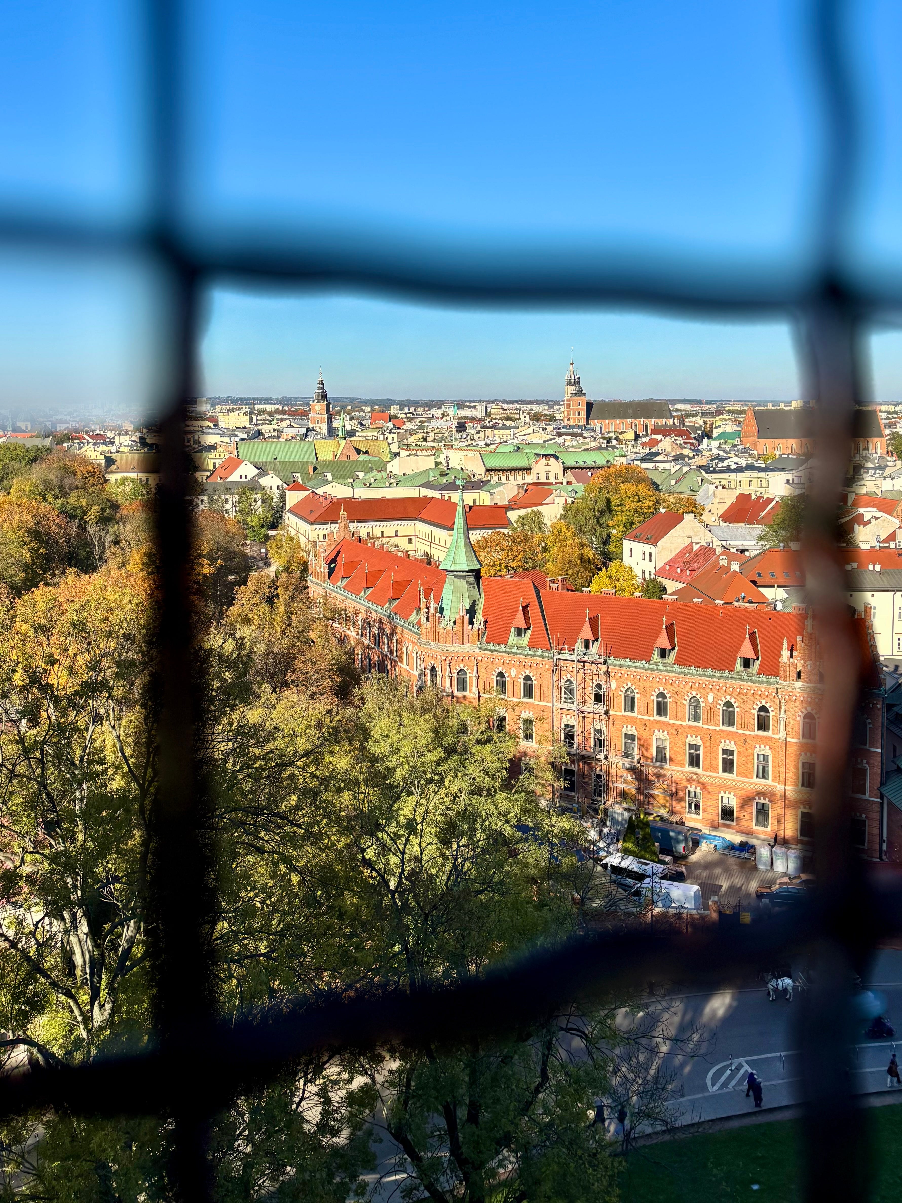 Aimee Boudreaux MacIver (@aimeeboudreauxmaciver): "This is your sign to skip Disney this year ...