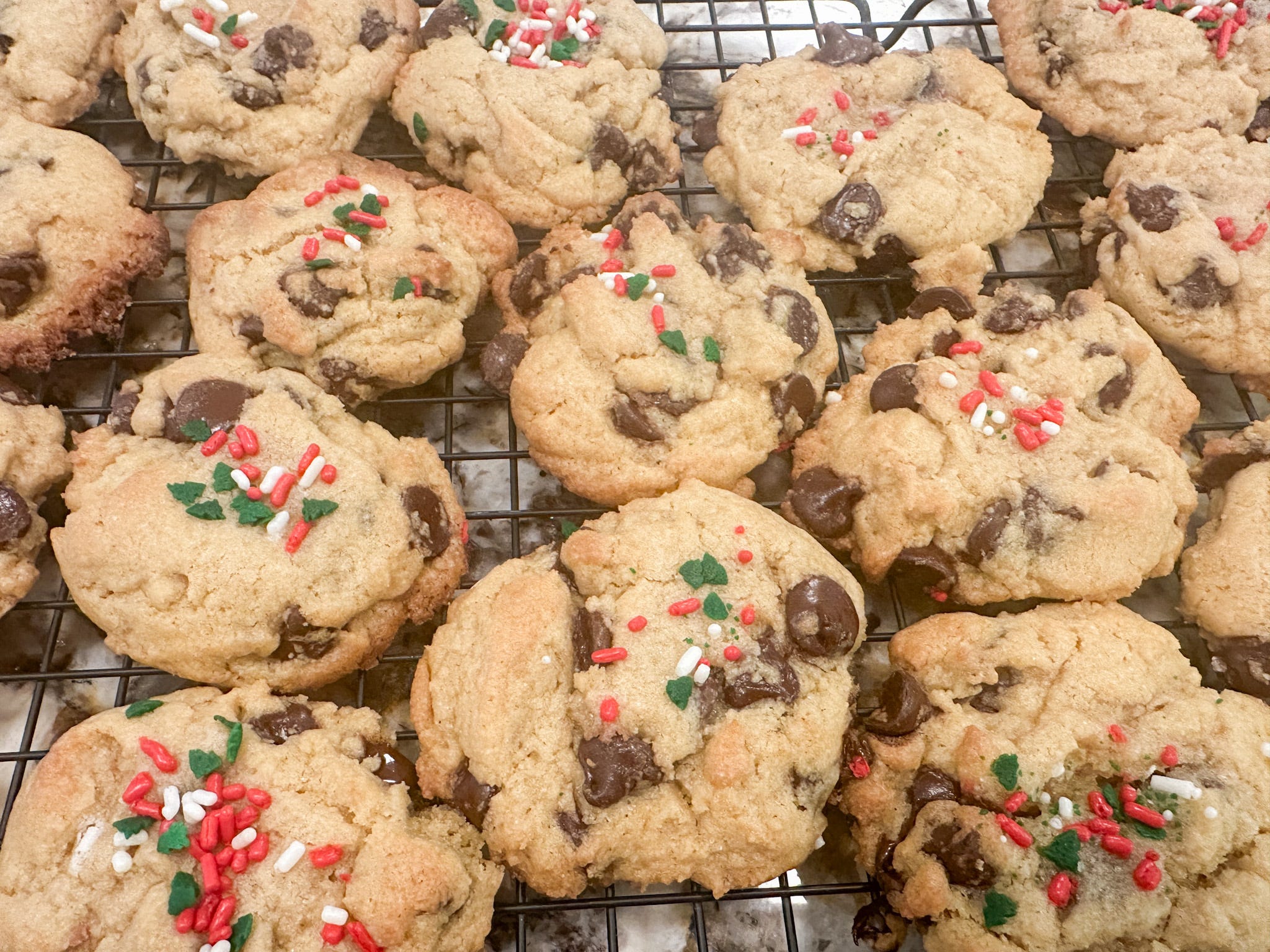 The Rundown - Holly Guertin