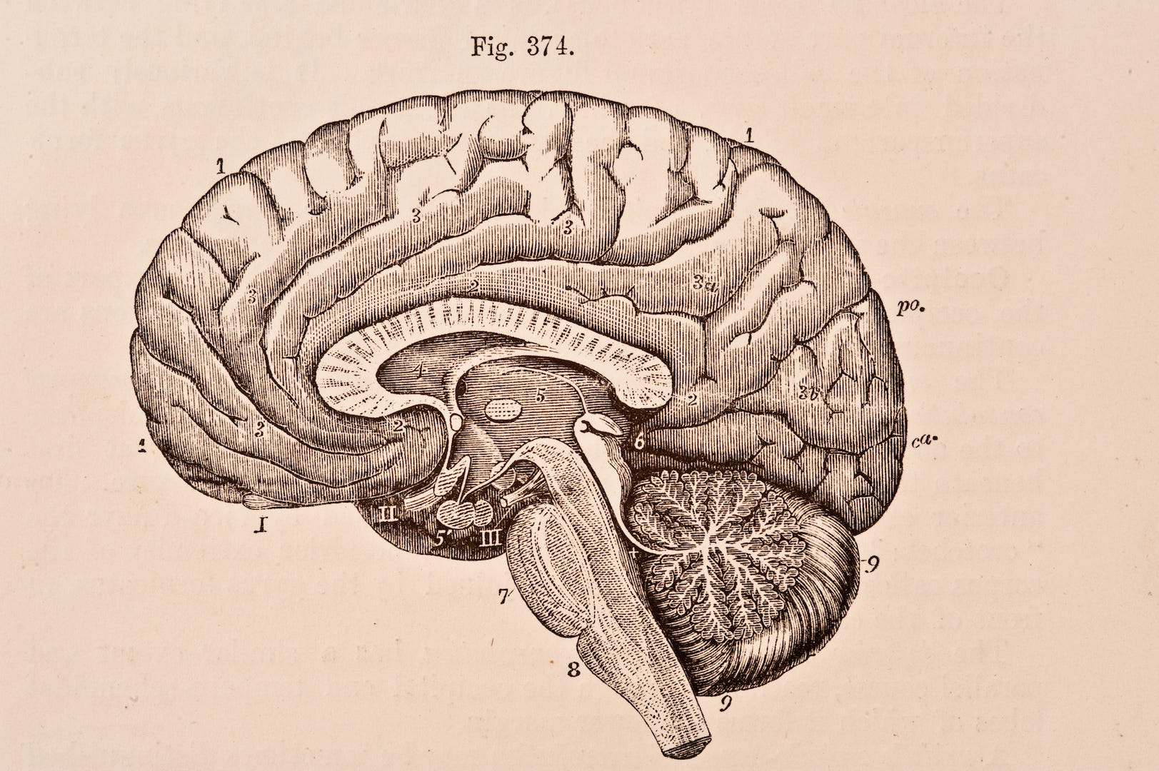 Your guide to the conscious vs. unconscious mind