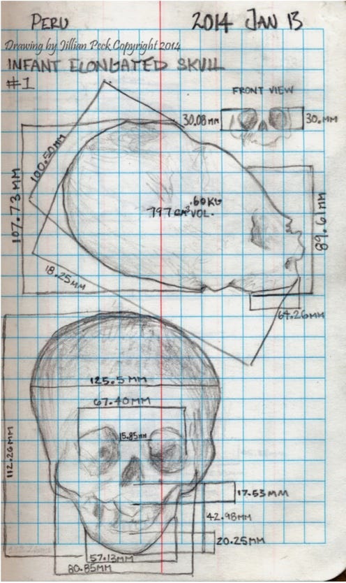 The Paracas Elongated Skulls - Dr. Aaron Judkins Substack